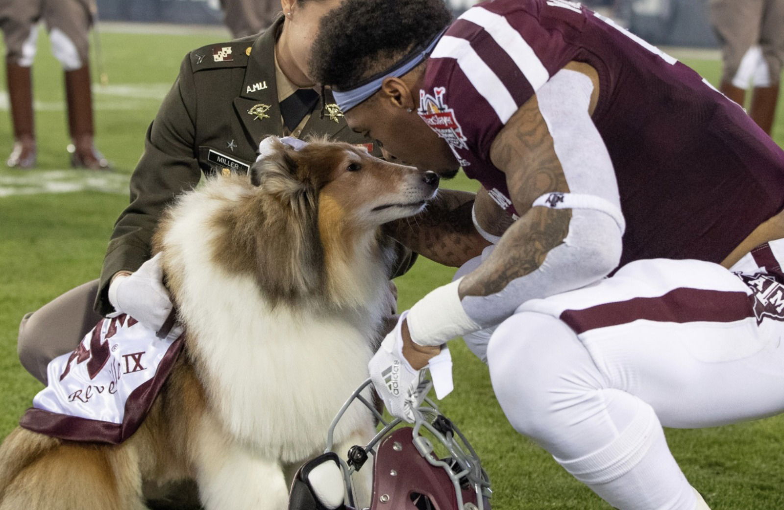 Texas A&M Pays Tribute to Reveille IX After Aggies’ Retired Mascot Died ...
